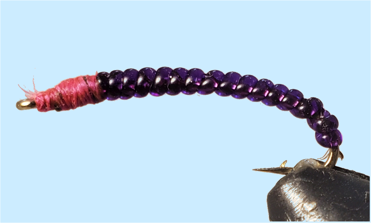 Rock Worm / Annelid - Red or Purple – Stone Creek Dealers